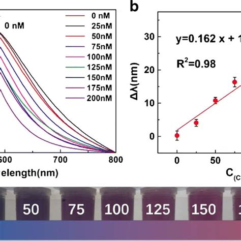 Schematic Presentation Of Colorimetric Detection Of C Dna Based On The