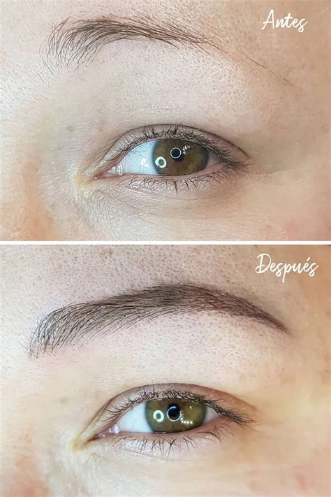 Microblading Vs Microshading Qué Método Elegir Para Lograr Cejas Con Definición Infobae