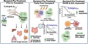 Treg Expansion Protocol Immunotherapy For Reduced Transplant Rejection