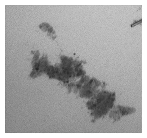 Image 4 Segmentation Results A Original Image B Grayscale Image