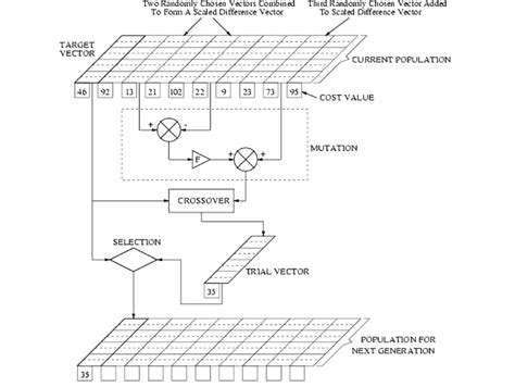 Schematic For The Standard DE Algorithm Download Scientific Diagram