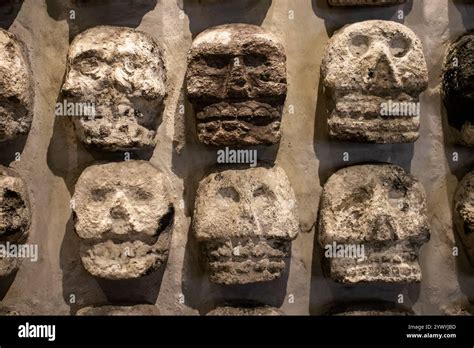 Mexico City Mexico November 12 2024 Detail Of The Huey Tzompantli Or