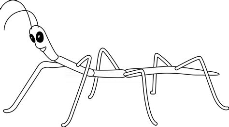 Stick Bug Vector Art Icons And Graphics For Free Download