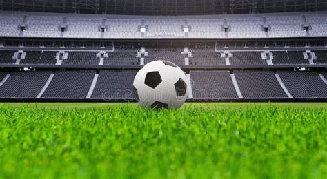 Soft Grass Stock Image Image Of Environmental Flora 5868467