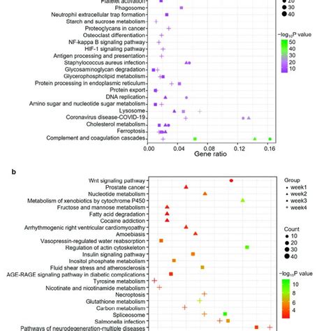 Pathway Analysis Of Differently Expressed Proteins Kegg Pathway