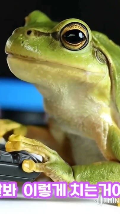 개구리와컴퓨터 Youtube