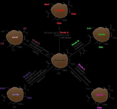 Routes For The Selective Modifications Of Indulin At Route A Complete