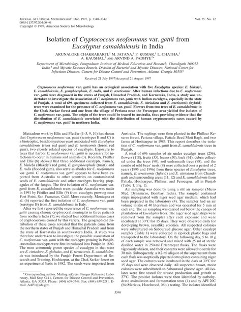 Pdf Isolation Of Cryptococcus Neoformans Var Gattii From Eucalyptus Camaldulensis In India