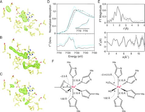 Residual Electron Density Observed In The Rpe65 Active Site And Xas