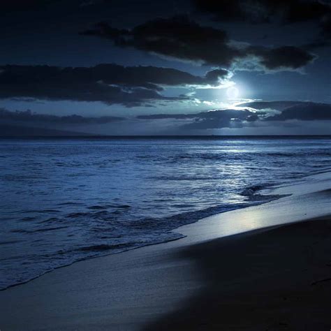 10 Tips For Freediving At Night DeeperBlue