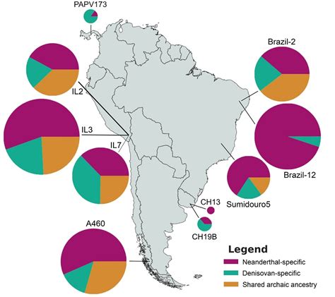 Fau Ancient Dna Analysis Unravels The Early Peopling Of South America