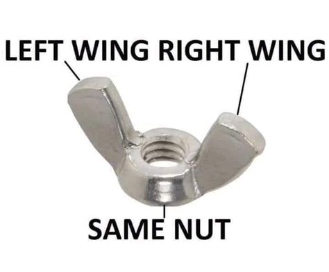 The Left Wing And The Right Wing Sufficiently Advanced Technology