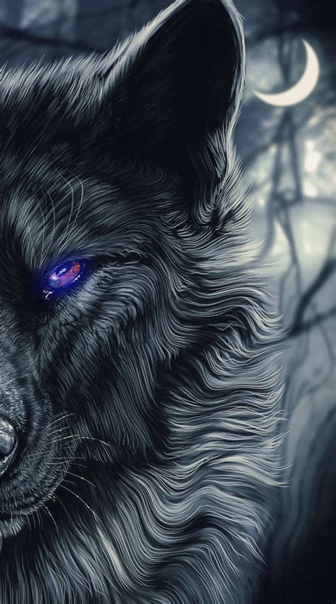 [100 ] Black Wolf Pictures