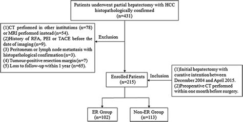 Flowchart Of The Case Identification Process Download Scientific Diagram