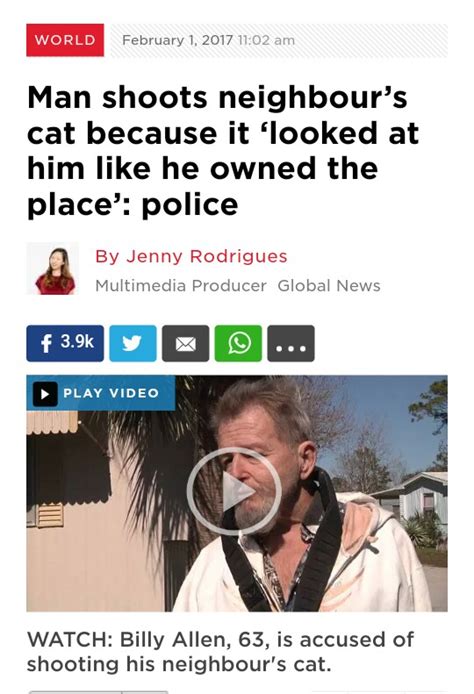 It Did Own The Place Though Album On Imgur