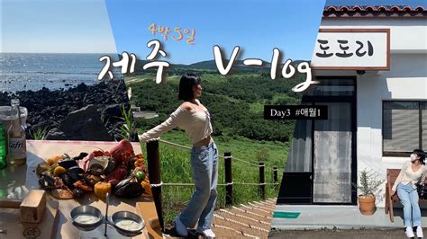 제주 Vlog 4박5일 제주여행 브이로그2뚜벅이 애월여행코스새별오름흑돼지애월맛집추천김만복해성도뚜리크랩잭