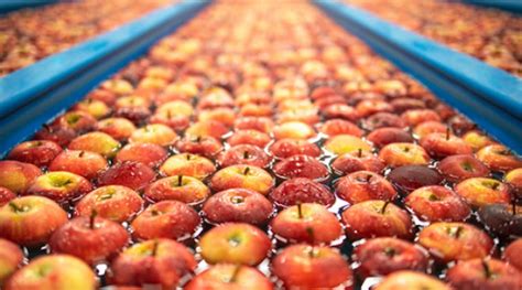 The Supply And Demands Of Processing Organic Foods Food Processing