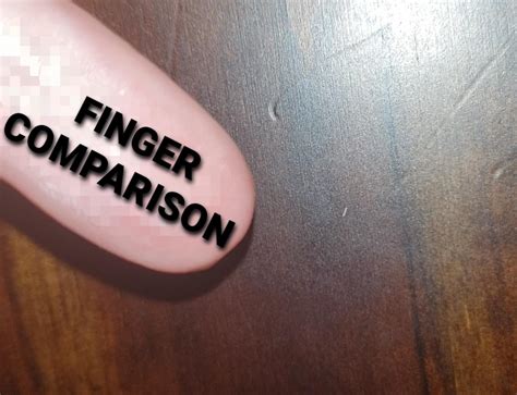 What Is This Really Tiny Larvae Nearly Microscopic Rwhatbugisthis