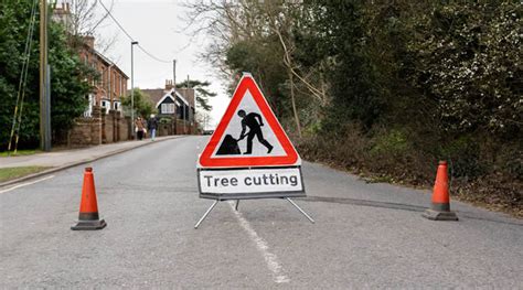 Tree Surgeons Ribble Valley