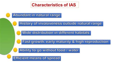 Invasive Pests In India Pdf Agriculture Industries
