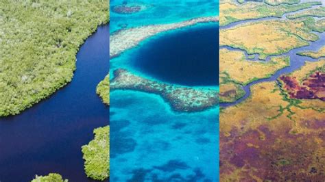 Spygen Member Of The World Alliance