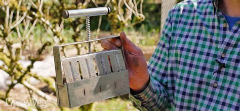 Why You Should Use Soil Blockers Instead Of Plastic Seed Trays