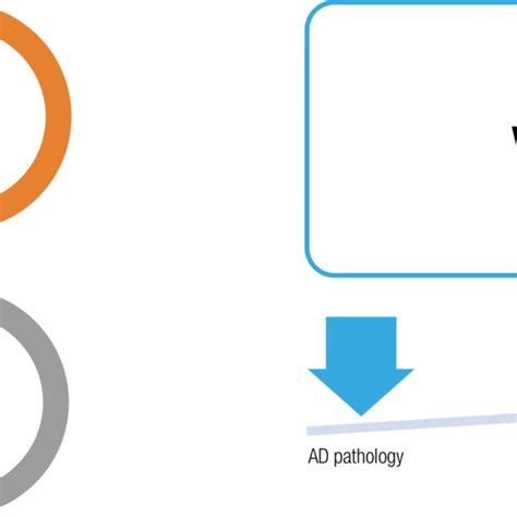 Classification Of Forms Of Vascular Dementia According To The Vicccs Download Scientific