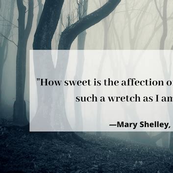 50 Quotes From Mary Shelleys Frankenstein Parade