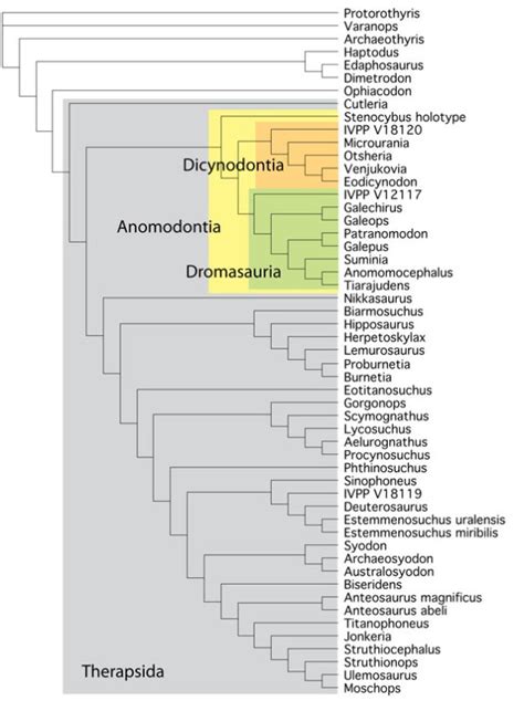 Dicynodont The Pterosaur Heresies