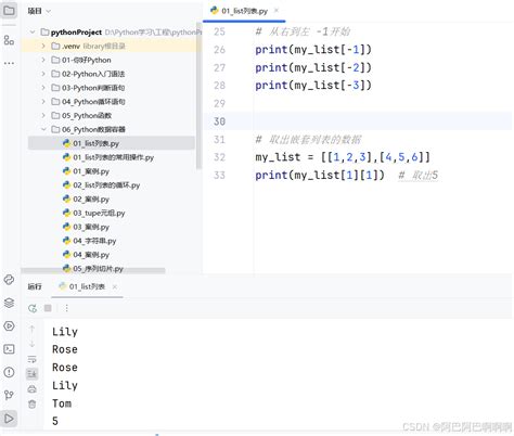 Python数据容器1 Csdn博客