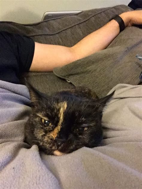 Anthony Giacalone Medium