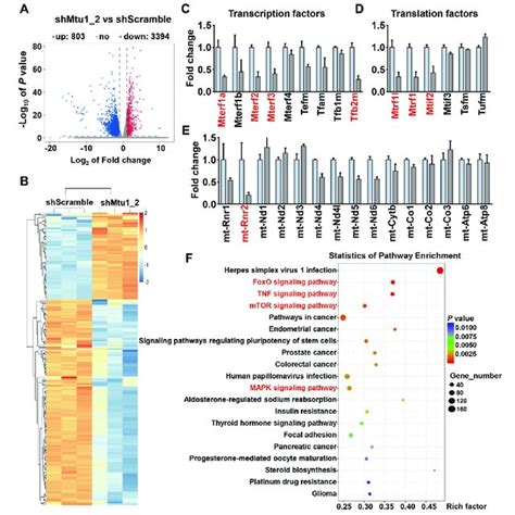 Rna Seq Analysis A Volcano Plot Of Differentially Expressed Genes