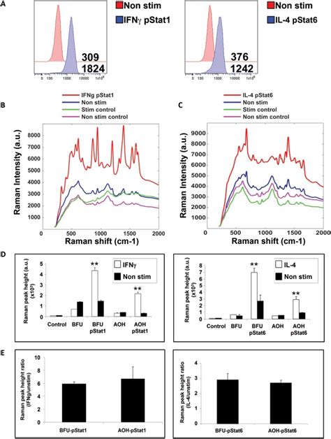 A Flow Analysis Of Pstat1 And Stat6 Phosphorylation Following Download Scientific Diagram