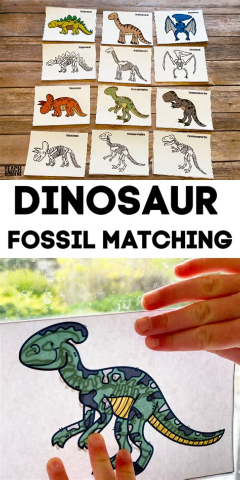 Dinosaur Fossil Matching Game Shop