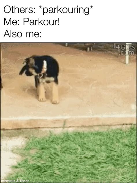 Parkour Rmemes