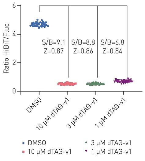 Dtag Assay For Targeted Degradation Of Proteins Bmg Labtech