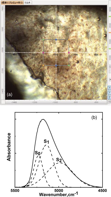 Carrot Tissue Fresh Under The 10× Objective Lens Shown In The Download Scientific Diagram