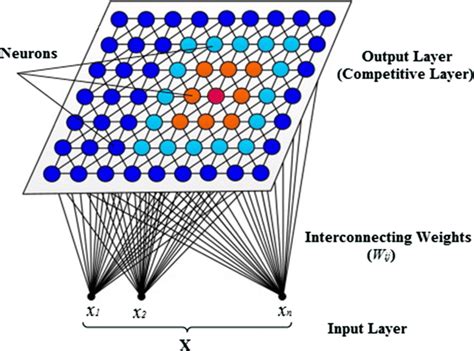 A Schematic Model Of Self Organizing Map Network 52 Download