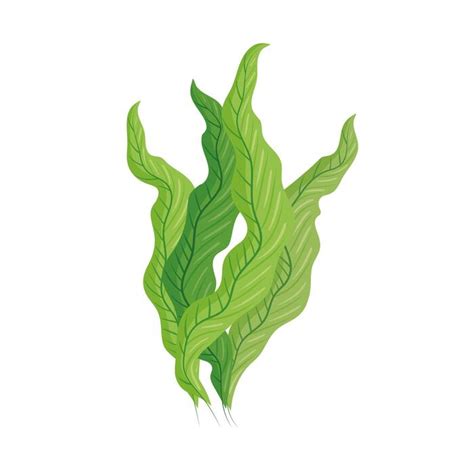Sea Grass Vector Art Icons And Graphics For Free Download