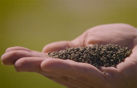 Discussing Smart Nutrition Map Mst With American Ag Network