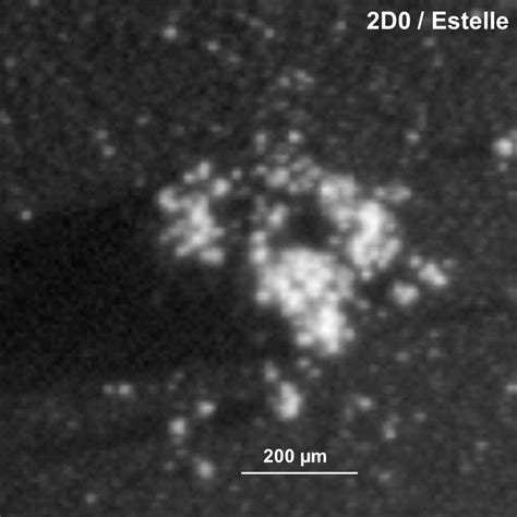 Esa Comet Dust Estelle