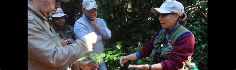 Niveaux Démissions De Référence Pour Les Forêts Et La Notification Des