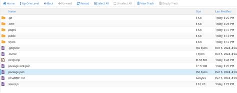 tutorial deploy nextjs pada hosting cpanel cloudaja artikel cloud