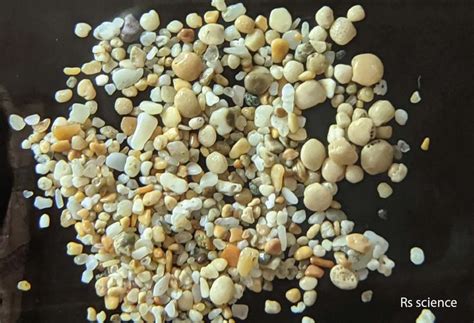 Sand Under A Microscope Rs Science Things Under A Microscope Sand