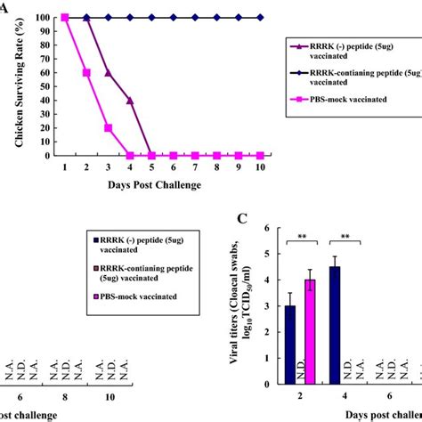 The Role Of Polybasic Amino Acids Rrrk In Protecting Immunized
