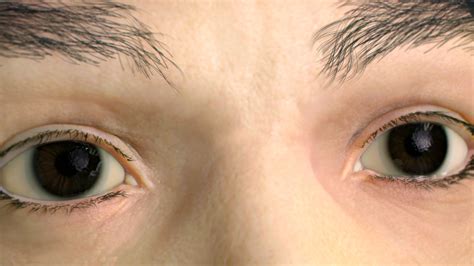 Slovenia Top 10 Events Of This Week The Slovenia