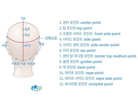 C P Centar Point T P Top Point F S P Front Side Point