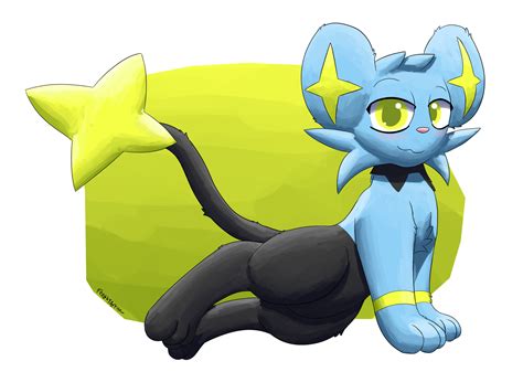 Shinx Pokemon