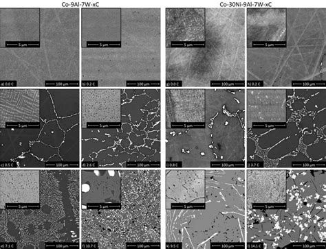 Sem Micrographs Of Co 9al 7 W Xc With A 0 0 B 0 2 C 0 5 D 2 6 E 7 1 Download Scientific