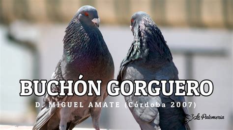 Buchón Gorguero 2007 In Memoriam Youtube